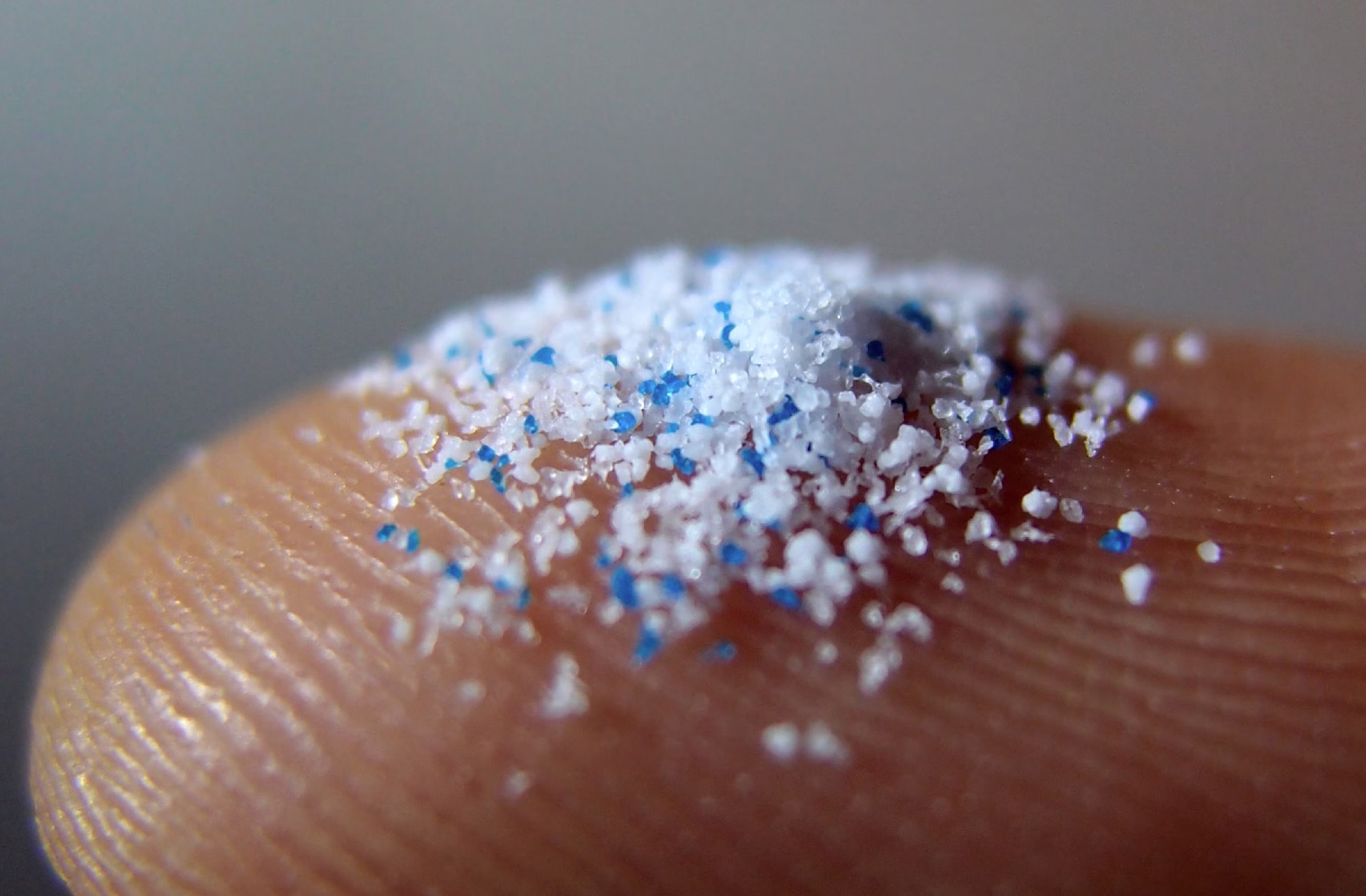 18 Best Facts About Microplastics - Facts.net