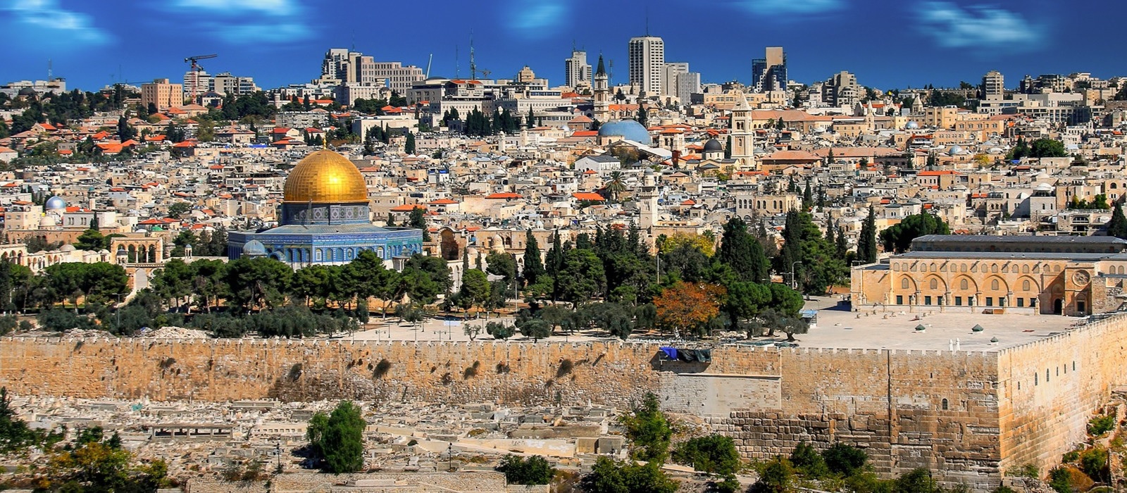 50 Cat Facts: Delving into the World of Cats - Facts.net