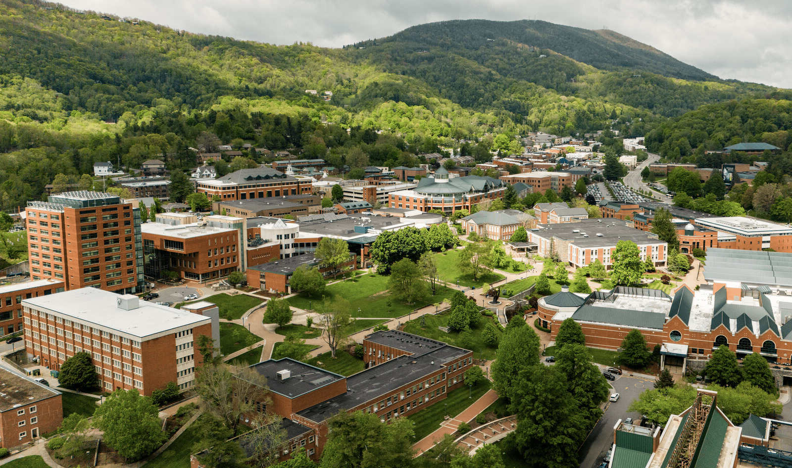 10 North Carolina State Tree Facts Facts 10 North Carolina State Tree Facts Facts